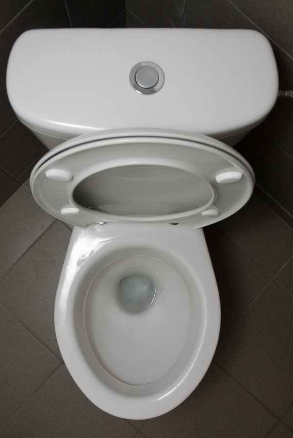 Emergency Plumbing Tips for Your Toilet | DSpain